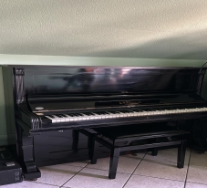 Pianoforte Verticale Heilbronn